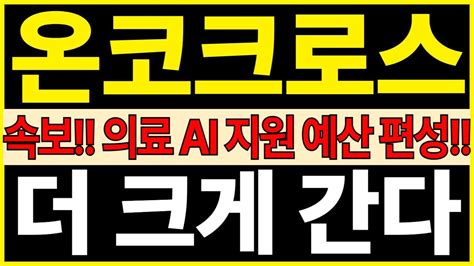 온코크로스 주가전망 속보 의료 Ai 지원 예산 편성 더 크게 간다 Feat주도주연구소ds 케빈 쓰리빌리언 셀바스헬스