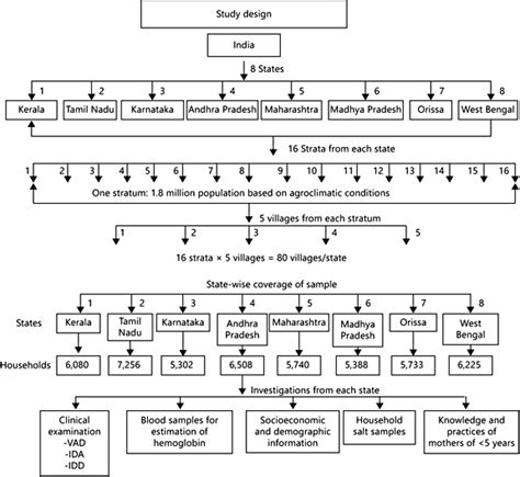 Flowchart Of The Sampling Procedure Of Community Based Cross Sectional Download Scientific