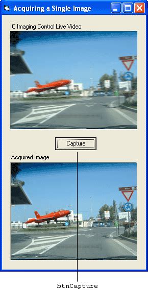 イメージデータの取得｜ic Imaging Control34 サンプルプログラム（cvbnet）｜the Imaging