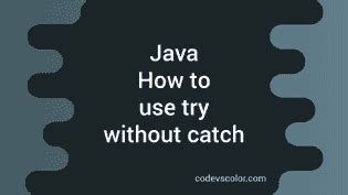 How To Use Try Without Catch In Java CodeVsColor