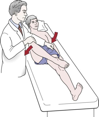 Hip Special Tests Flashcards Quizlet