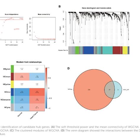 Machine Learning Algorithms Determine Signature Genes A The