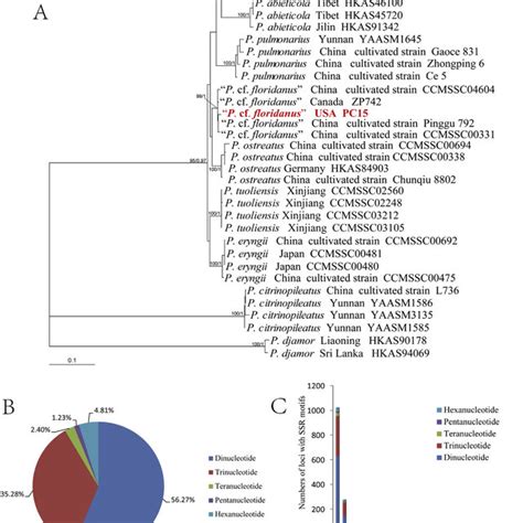A Phylogenetic Tree Generated From A Four Locus Its Tef1 Rpb1 And Download Scientific