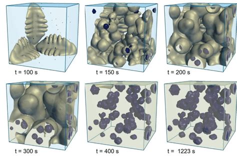 Phase Field Simulation Of The Microstructure Evolution In Sample M13