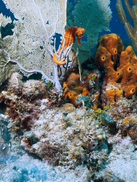 Normal Hemoglobin Range Know Normal Hemoglobin Levels By Age उम्र के हिसाब से शरीर में कितनी