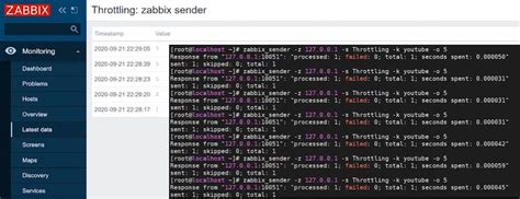 Why Zabbix Throttling Preprocessing Is A Key Point For High Frequency
