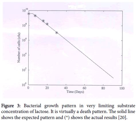 Nutrition Food Sciences Bacterial Growth Pattern