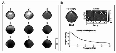 Visualizing Independent Components A Topographical D Scalp Maps Of Download Scientific