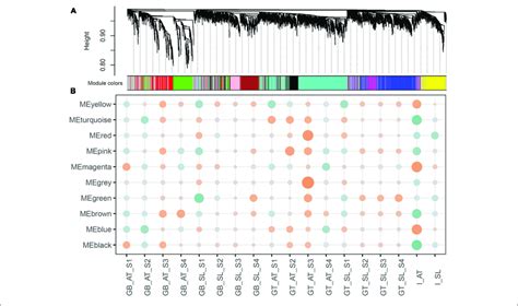 a hierarchical clustering and co expression modules the