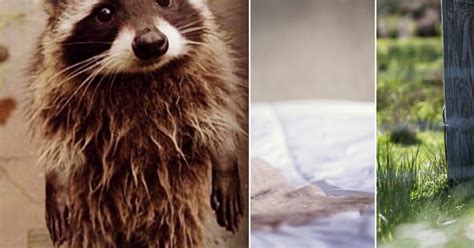 list dtsa 5013 glm and nonparametric regression class notes curated by jie shen medium