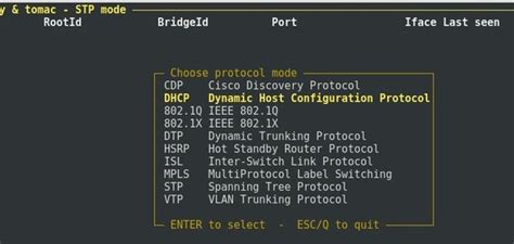 HOW TO PERFORM CYBER SECURITY AUDIT PENTESTING OF CISCO DEVICES