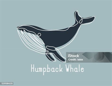 해양 회사 로고 정체성에 대한 혹등고래의 단일 연속 라인 드로잉 개념에 대한 스톡 벡터 아트 및 기타 이미지 개념 개념과 주제 고래 Istock