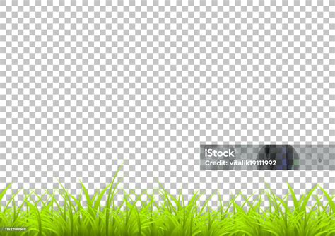 고립 된 배경에 그림자가 있는 잔디 여름 배경입니다 벡터 0명에 대한 스톡 벡터 아트 및 기타 이미지 0명 개체 그룹 건강관리와 의술 Istock