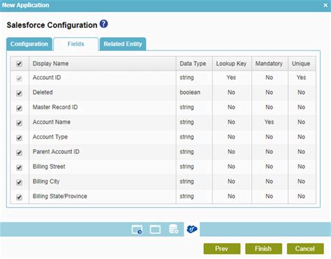 Form Based Application With Salesforce Data Source