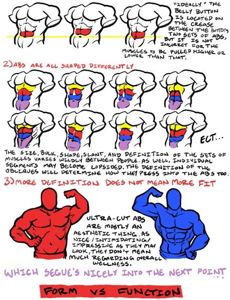 form vs function drawing tutorial anatomy drawing body drawing