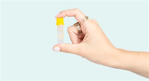 Sexual Health And College Babes STIs Testing And Safe Sex