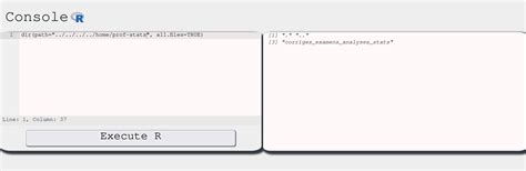 R Code Execution Root