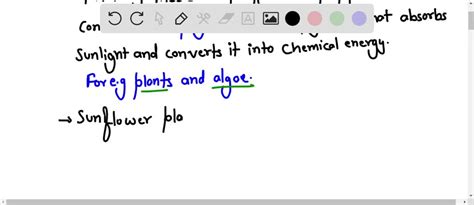 Solved Photosynthesis Occurs In Which Of These Organisms A Sunflower Plant B Mushroom C
