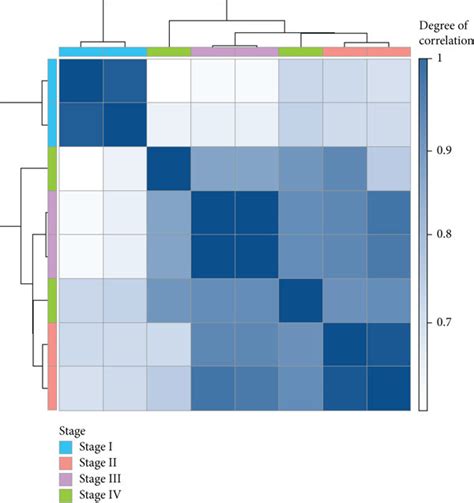 hierarchical clustering of somatic embryo transcriptomes based on their