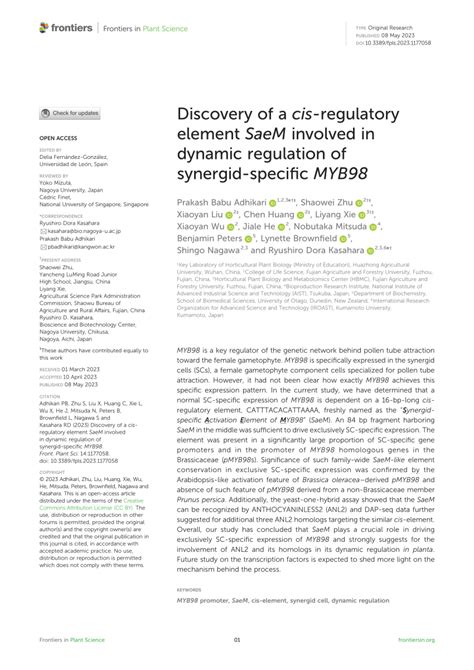 Pdf Discovery Of A Cis Regulatory Element Saem Involved In Dynamic Regulation Of Synergid