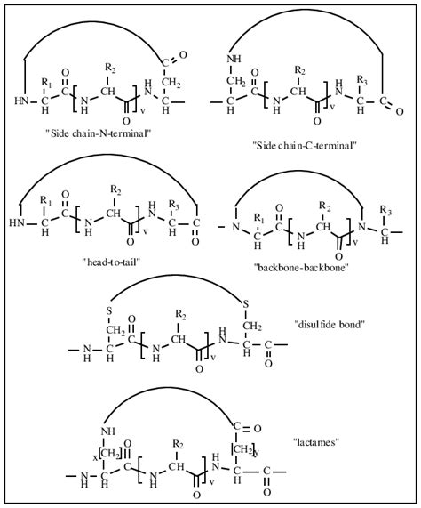 Schematic Representation Of Various Cyclization Techniques Download Scientific Diagram