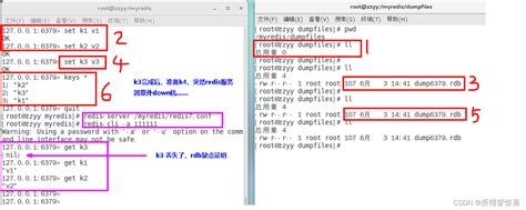 redis02 rdb概述及作用、自动触发、手动触发、优势劣势、触发场景、配置项详解 redis手动触发dump rdb保存 csdn博客