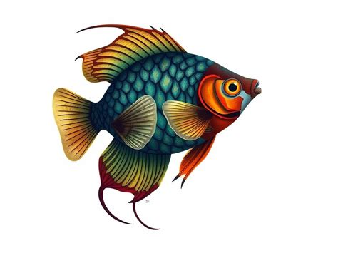 Discus Symbolism Exploring The Spiritual Significance Of The Discus