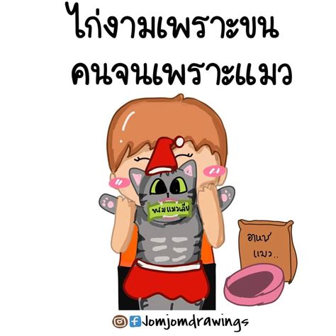 ทาสแมว4 0 เอาอะไรมาพูด