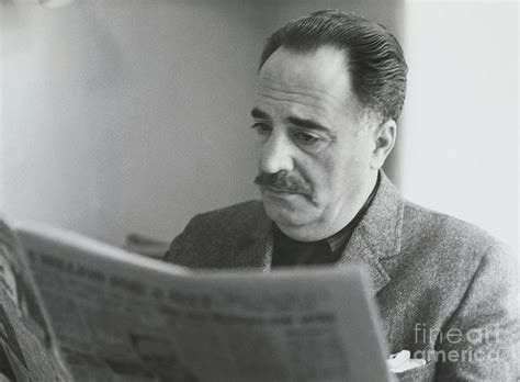 William Saroyan Reading Newspaper By Bettmann