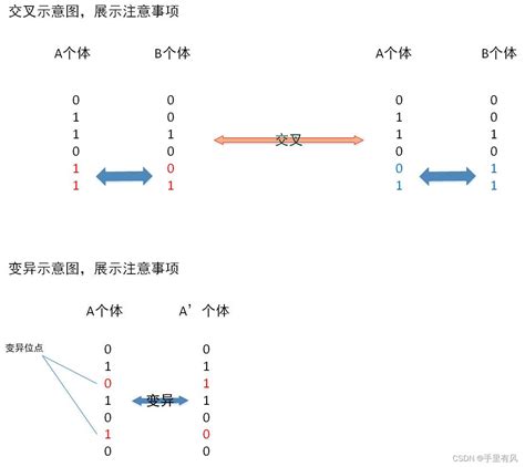 智能优化算法——遗传算法（ga）（纯理论，不包含代码） ga优化算法 csdn博客