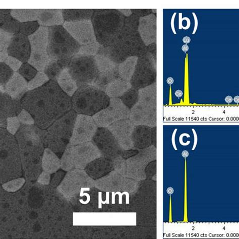 A Cross Sectional Sem Image Of The Prepared Ceramic Phosphor B And Download Scientific
