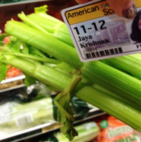 Modified Leaf Of A Plant Ap Biology And The Summer Assignment