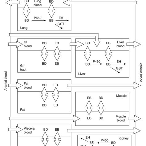 2 Theoretical Doseresponse Curves Curve 1 Is A Supralinear Response