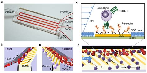 Design Of The Microfluidic Cell Separation Device The Device Consists