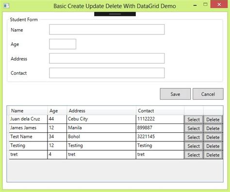 Wpf Crud With Datagrid Entity Framework And C Net