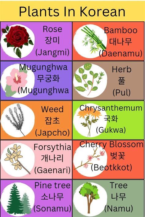Plant In Korean Ipam Power Hub