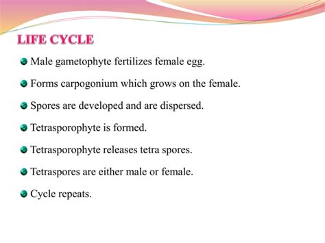 Red Algae Biology Taxonomy Applications Ppt