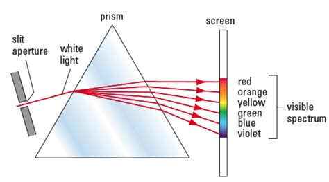 P8 Light Mr Tremblays Class Site