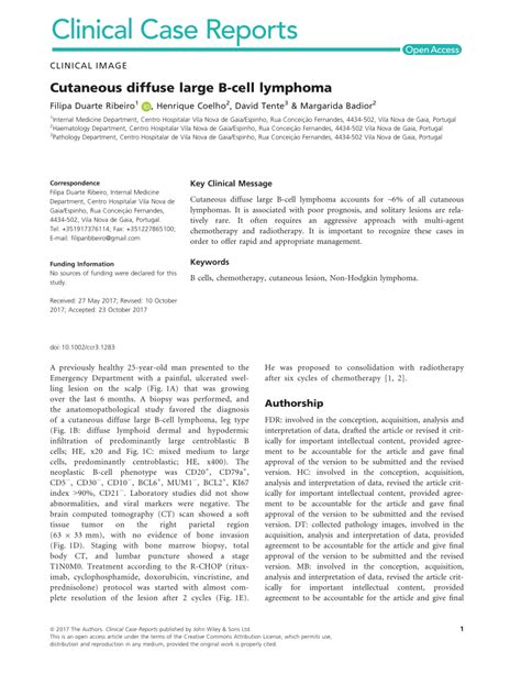PDF Cutaneous Diffuse Large B Cell Lymphoma