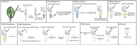 Optimization Of Insect Genomic Dna And Total Rna Extraction Protocols For High Fidelity Gene