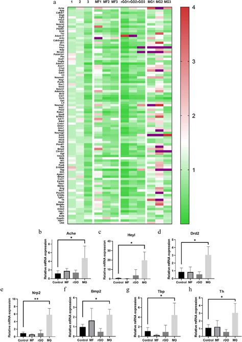 Pulsed Electromagnetic Field Assisted Reduced Graphene Oxide Composite 3d Printed Nerve Scaffold
