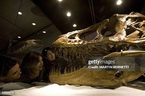 Tarbosaurus Photos And Premium High Res Pictures Getty Images