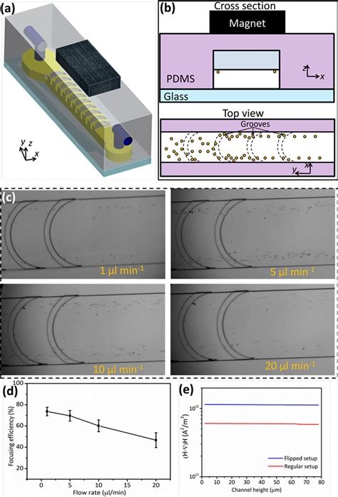A An Overview Of The Regular Setup B The Cross Section Top And Download Scientific