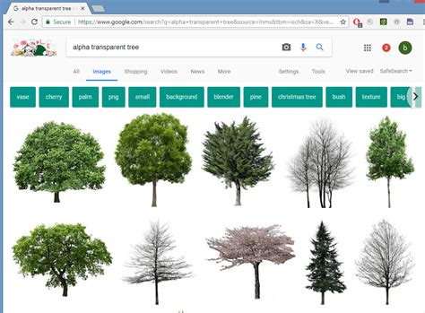 PNG Trees Part Face Camera Component DanielTal Com
