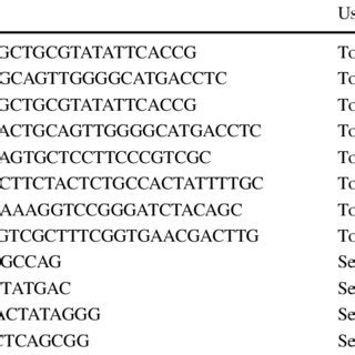 Overview Of Experimental Methodology GDNA Genomic DNA PCR Polymerase Download Scientific
