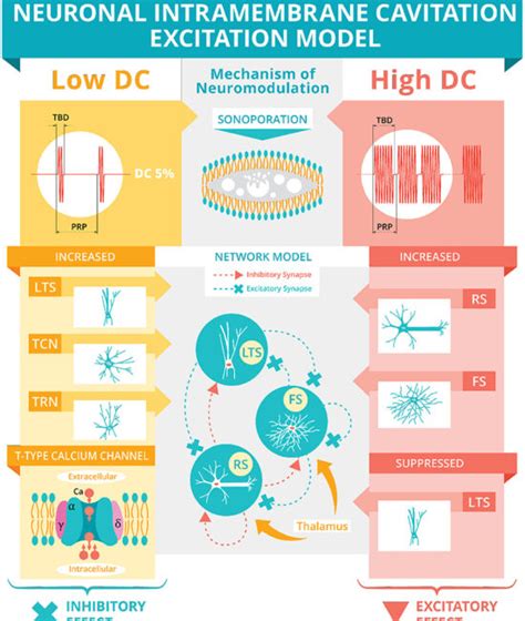 How Ultrasound For Neuromodulation Works