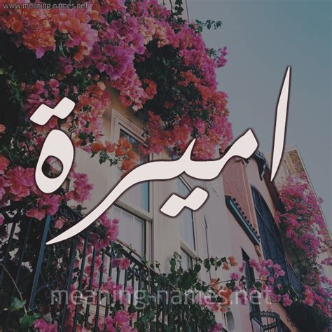 صور اسم اميرة مزخرف انجليزى معنى صفات ودلع و شعر و غلاف و رمزيات