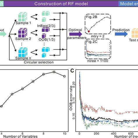 A A Flow Chart For The Construction And Application Of The Random Download Scientific Diagram