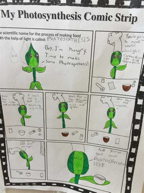Photosynthesis Comic Strip Assignment