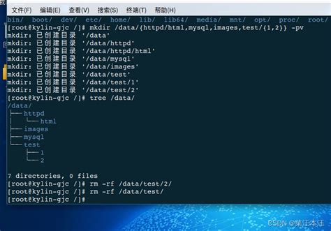 银河麒麟操作系统终端命令行下文件与目录的管理 麒麟系统删除文件夹命令 csdn博客